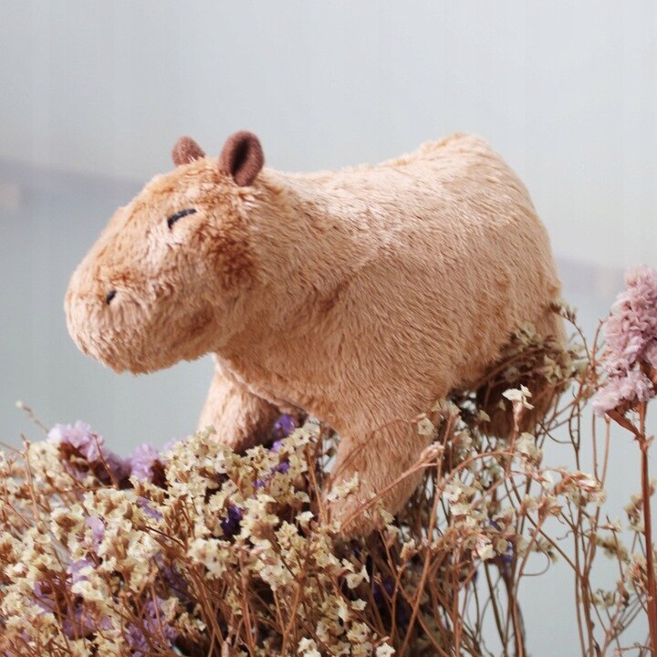Jucarie de plus Capybara, Duoduo, 18 cm, Maro - eMAG.ro