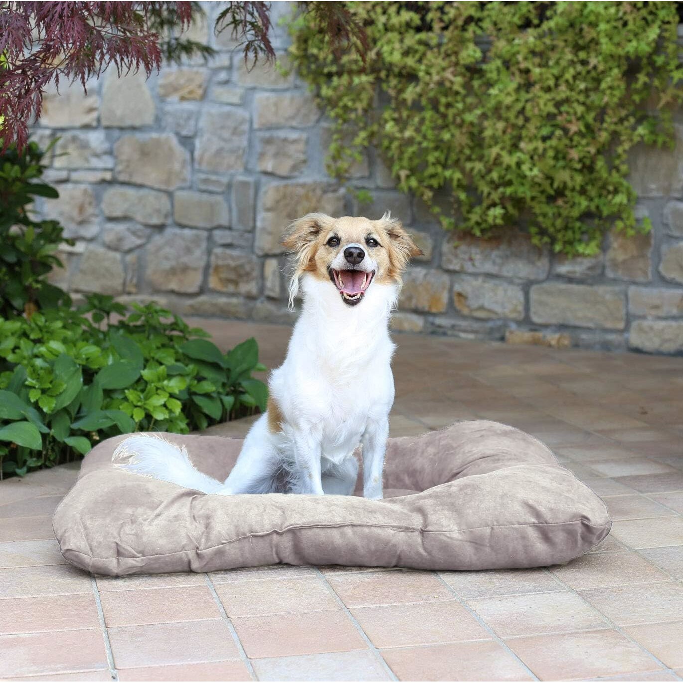 Pat pentru caini Smarty Animal, Impermeabil, dimensiune 77 x 60 cm ...