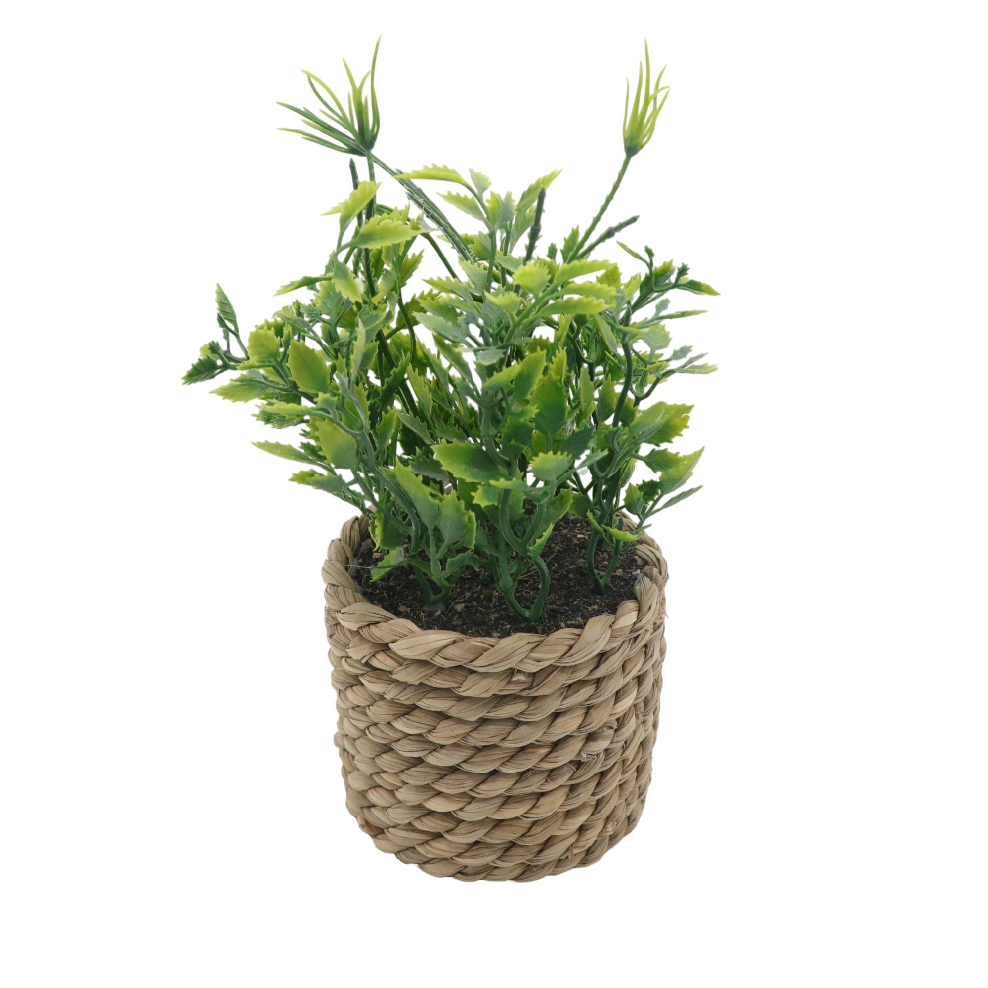 Planta artificiala, Cu ghiveci, Verde/Maro - eMAG.ro