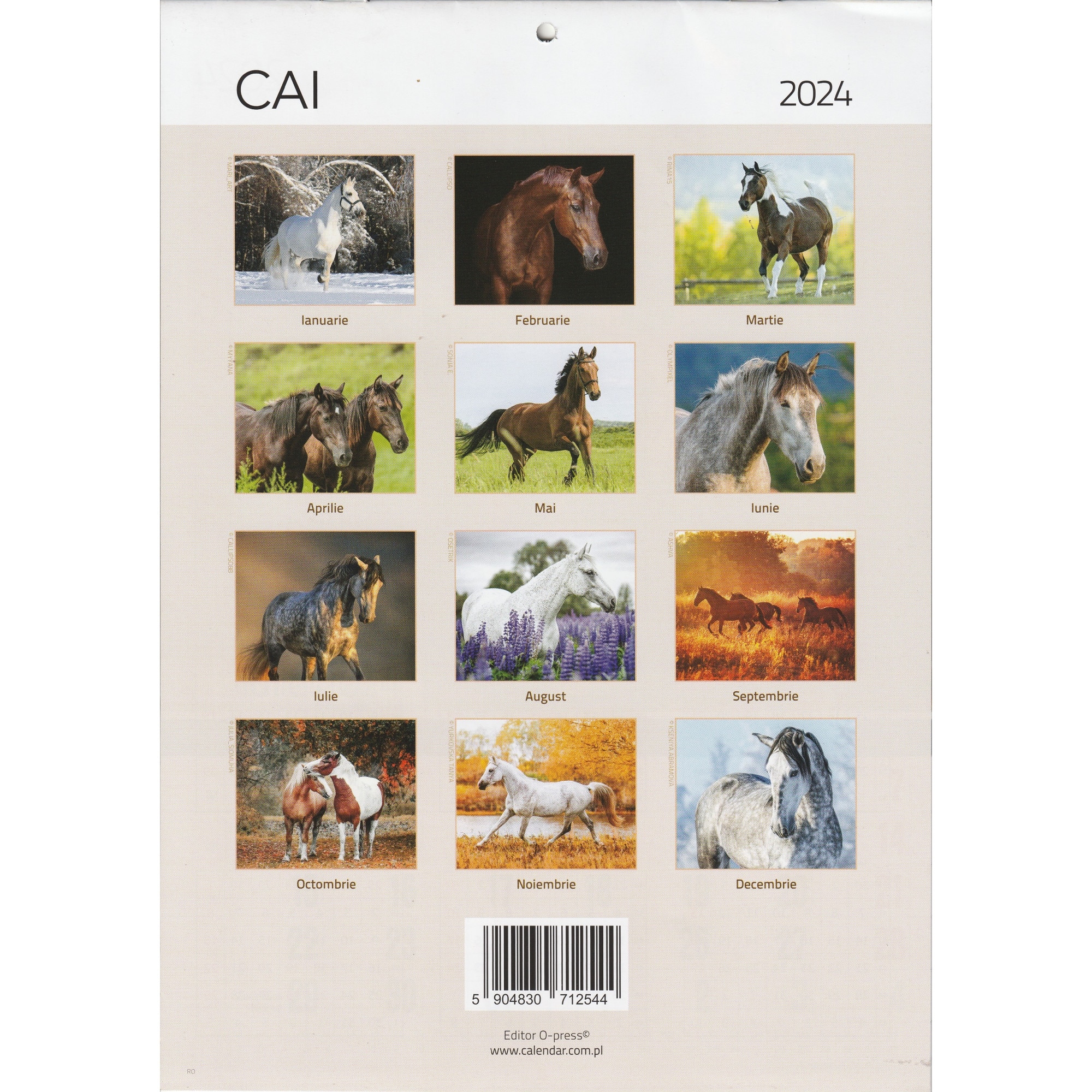 Calendar Cai anul 2024, format A4, 8 file -O-Press - eMAG.ro