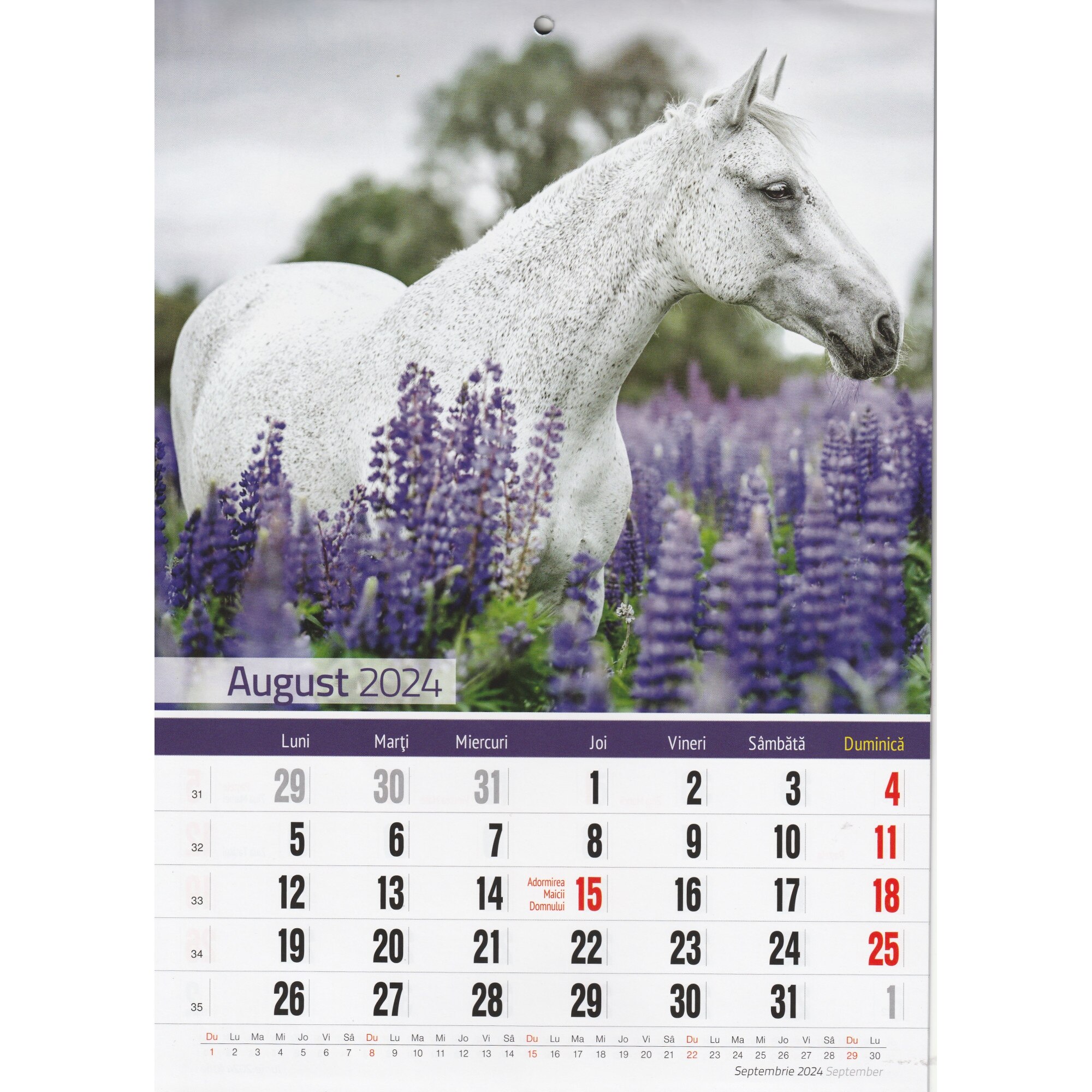 Calendar Cai anul 2024, format A4, 8 file -O-Press - eMAG.ro