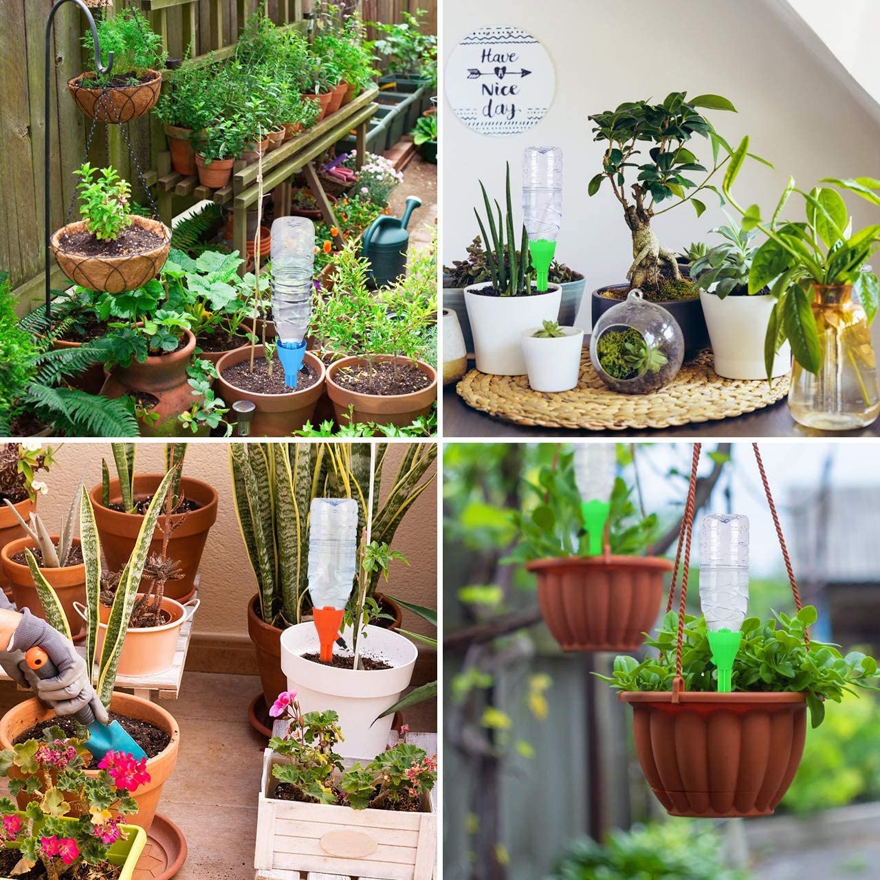 Комплект от 12 уреда за поливане на растения Lirdux, пластмаса ...