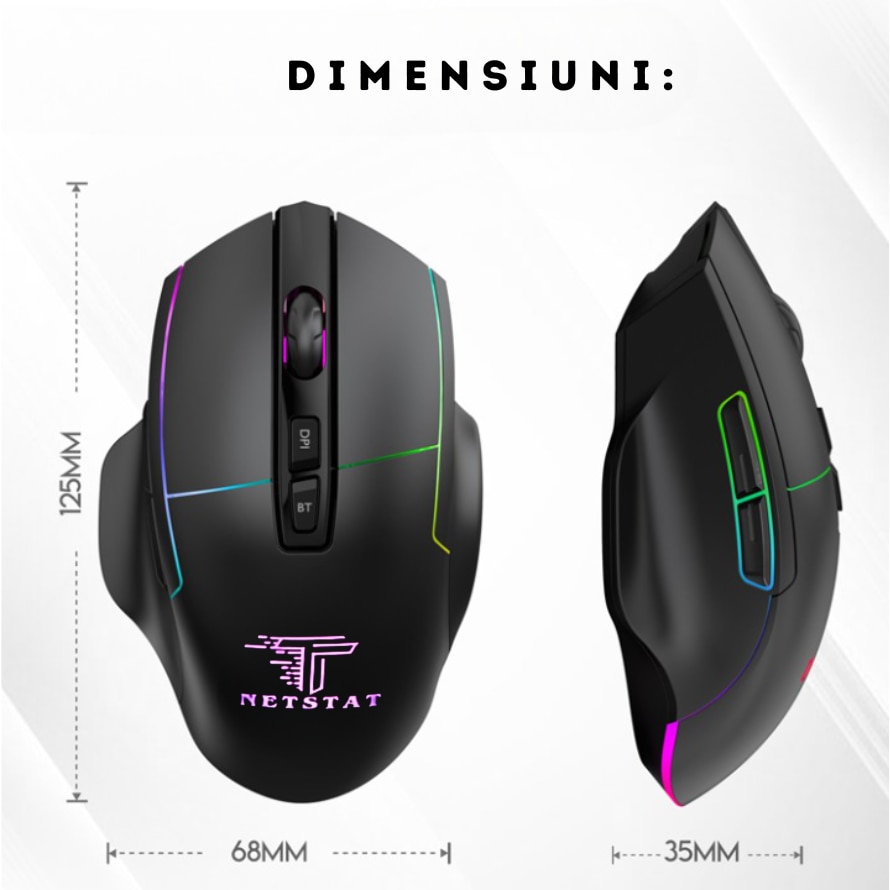 Mouse Wireless RGBX Profesional pentru Gaming si Birou NETSTAT ...