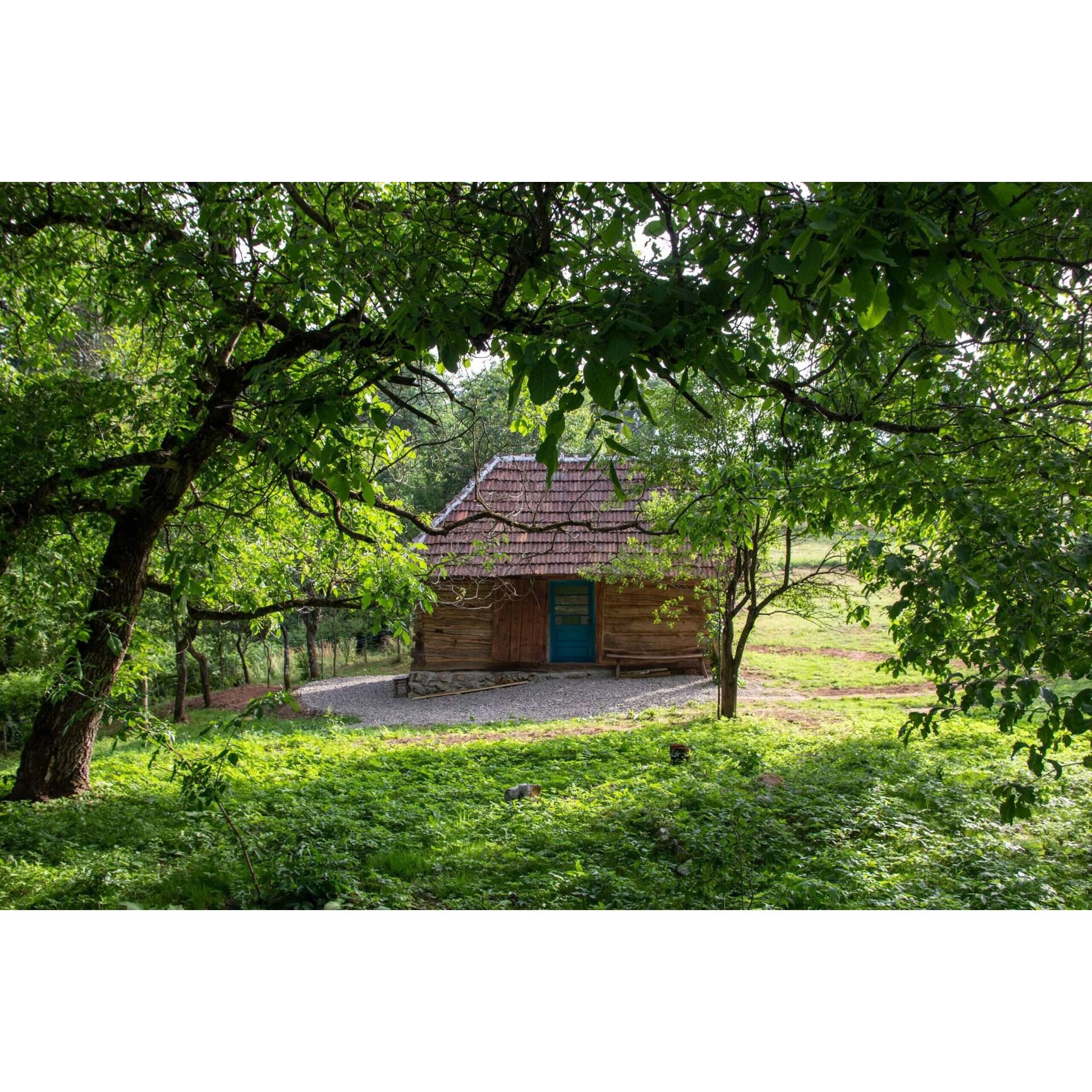 Pachet vacanta, Intoarcerea La Origini - Viata La Tara, cazare in Casa ...