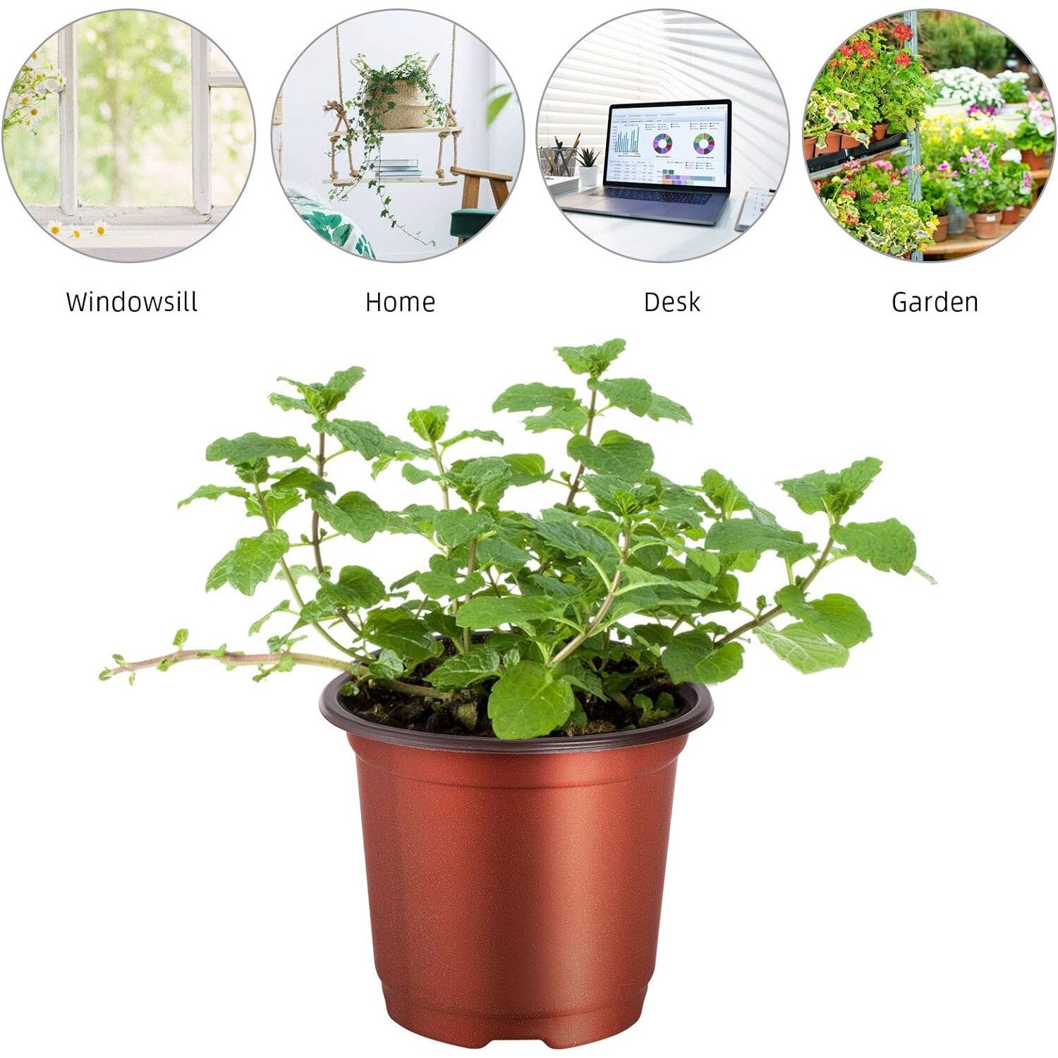 Set 100 Ghivece de flori din plastic de inalta calitate, 9cm, Maro ...