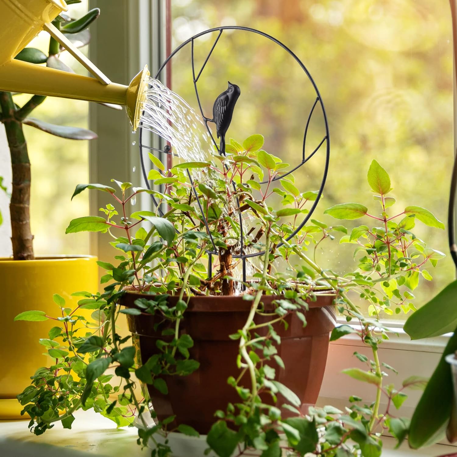 Spalier de gradina, Sunmostar, Fier, 30x41cm, Negru - eMAG.ro