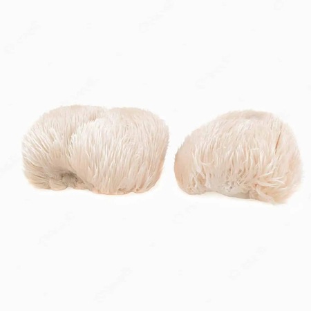 Seminte Hericium Erinaceus, Coama leului, Cultura lichida 10 ml - eMAG.ro