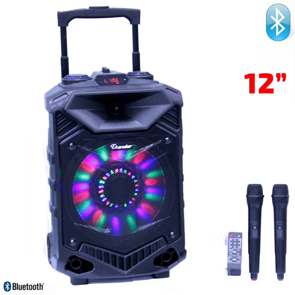 Boxa Portabila Karaoke Thunder THS-B1201BTW, 12 inchi, Black - eMAG.ro