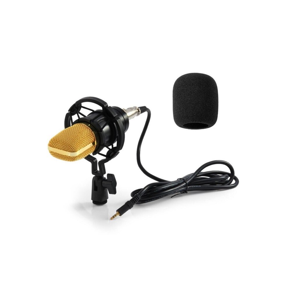Microfon de studio, 1Tech, Model BM-700, Universal, Condensator, Filtru ...