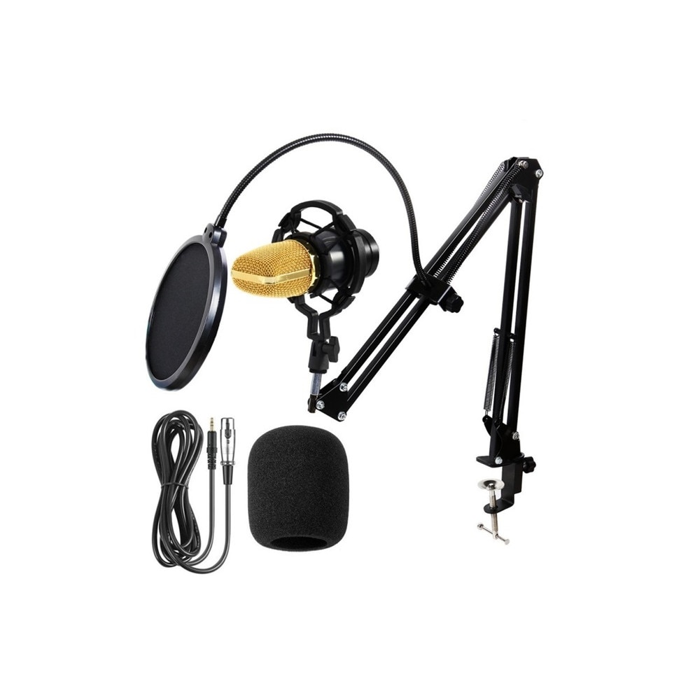 Microfon de studio, 1Tech, Model BM-700, Universal, Condensator, Filtru ...