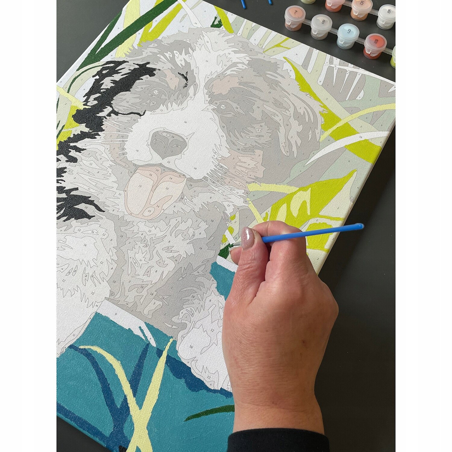 Set pictura pe numere copii si adulti cu acuarele, Zola, panza 40×30cm ...