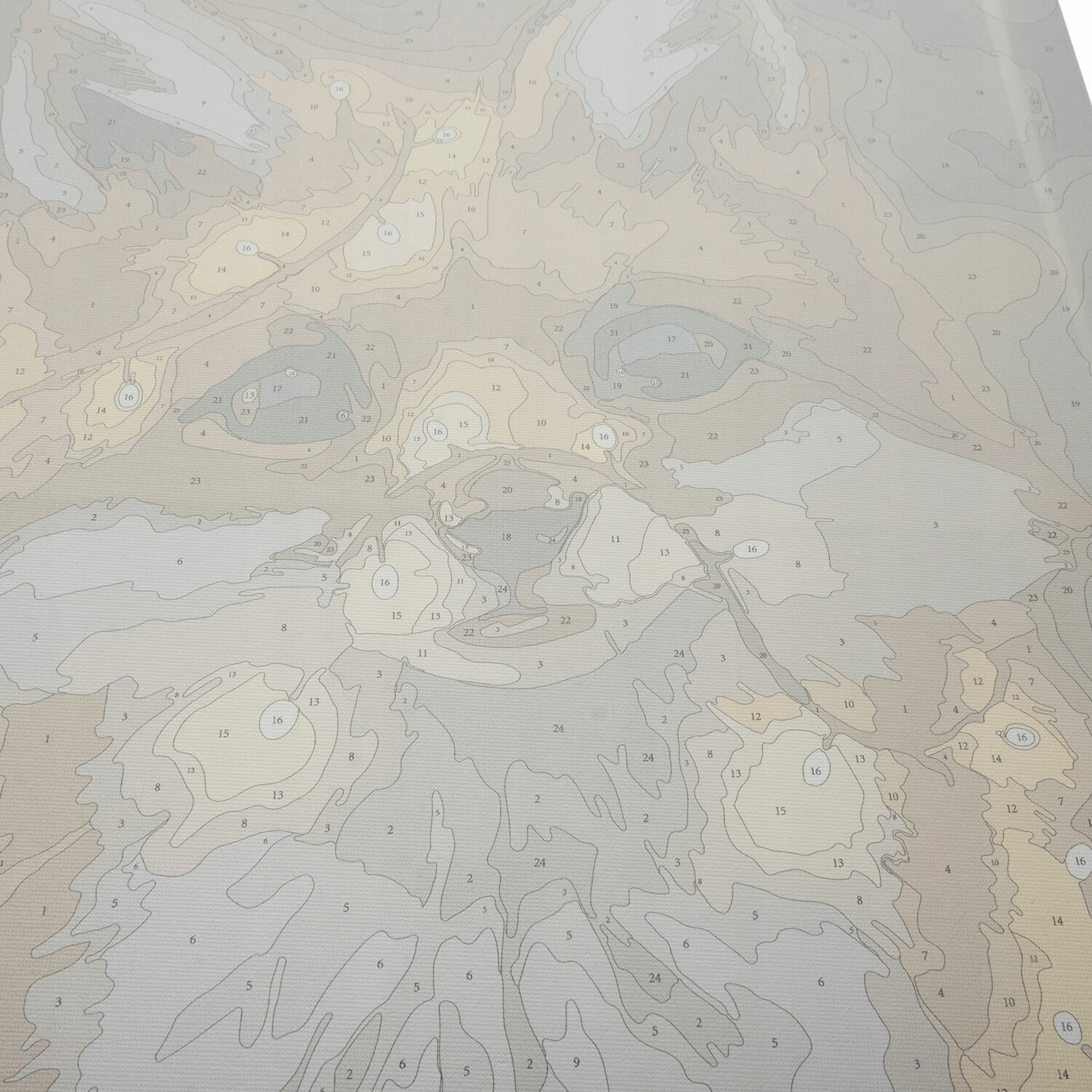 Set pictura pe numere copii si adulti cu acuarele, Zola, panza 40×50 cm ...