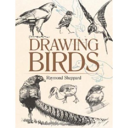 Drawing Birds - Raymond Sheppard - eMAG.hu
