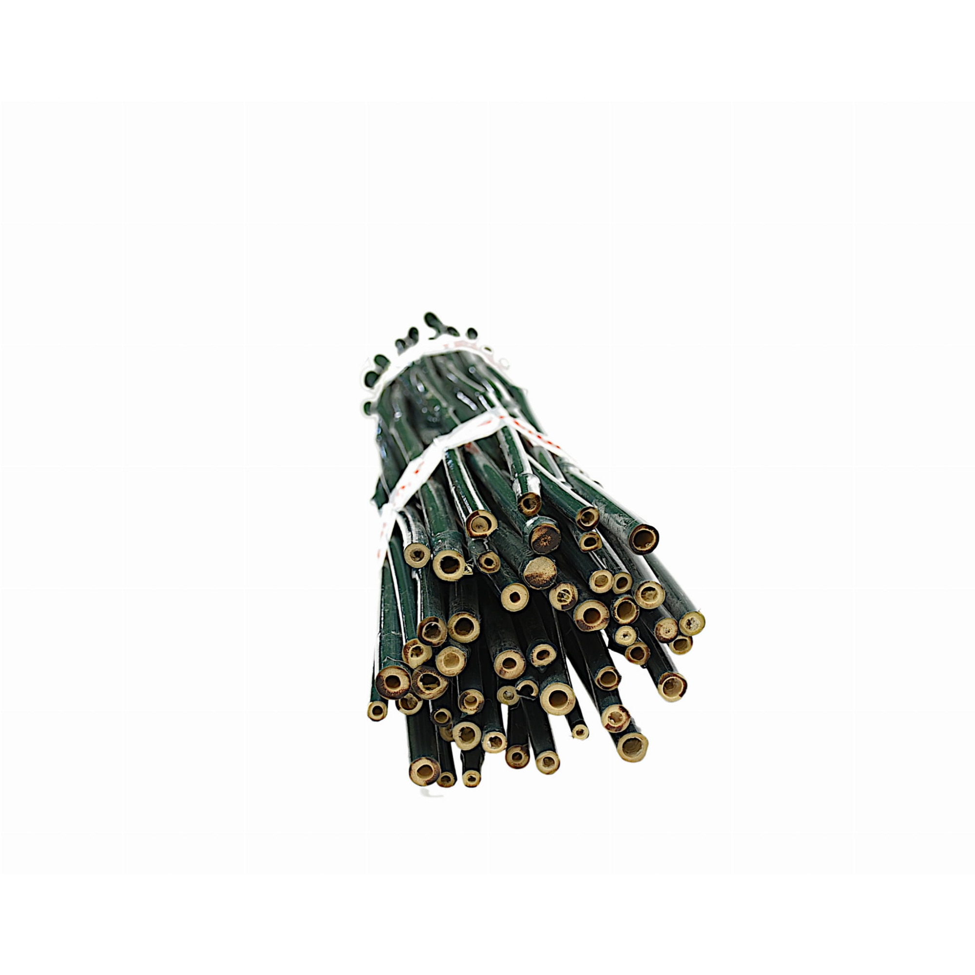 Set 50 araci din bambus Dixiestore, Acoperiti cu PVC, 180 cm 14/16mm ...