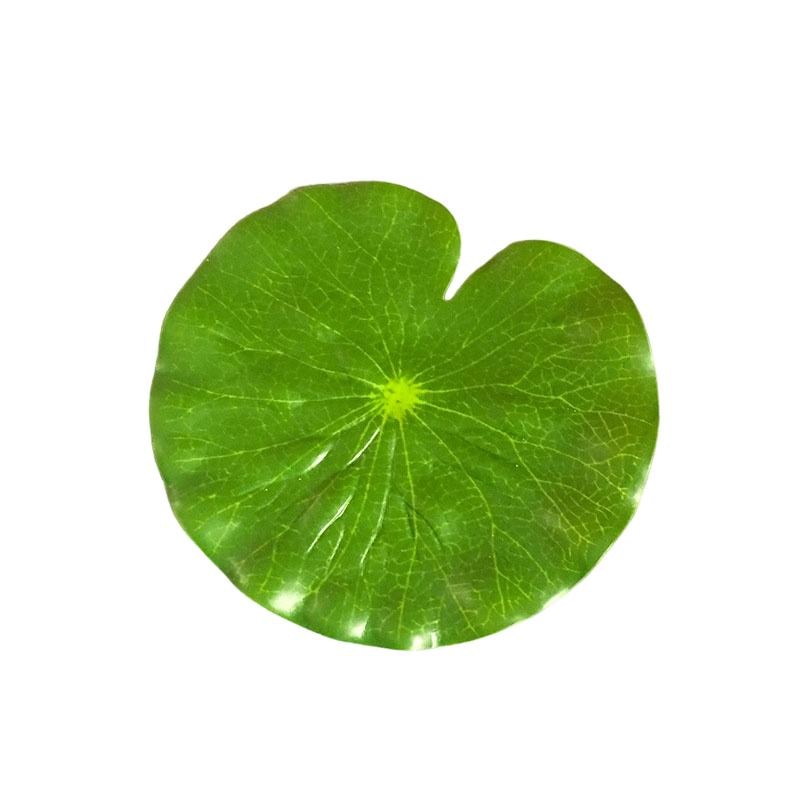 Frunza de lotus artificiala, LLWL, Plastic, Verde - eMAG.ro