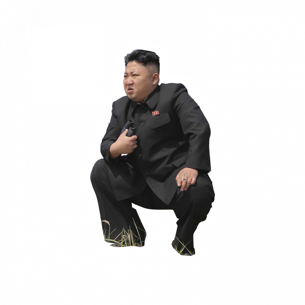Set 4 bucati, Sticker decorativ, Meme Kim Jong Un in iarba cu binoclu ...