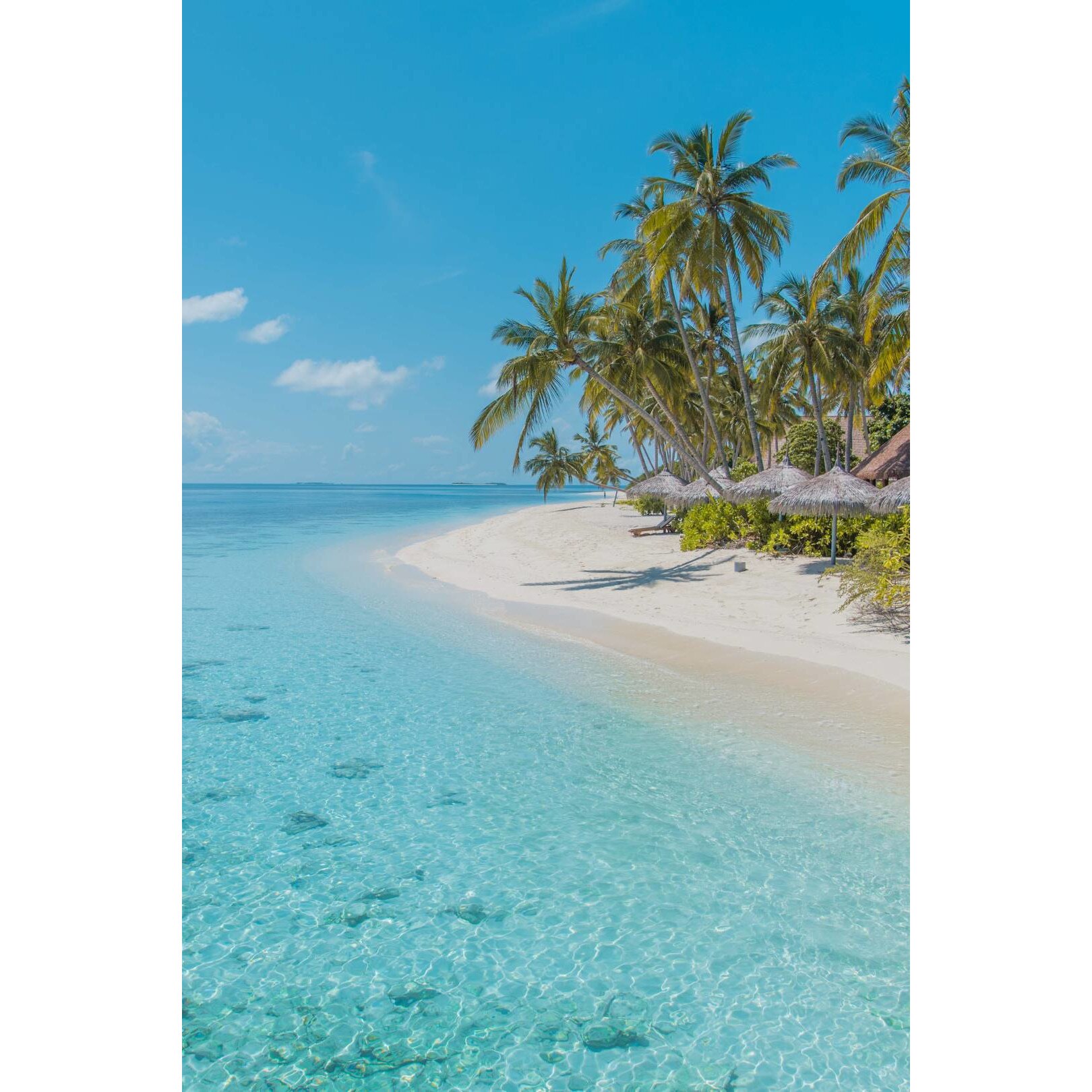 Tapet Autoadeziv PVC, Autocolant, Peisaj plaja cu palmeri si cer ...