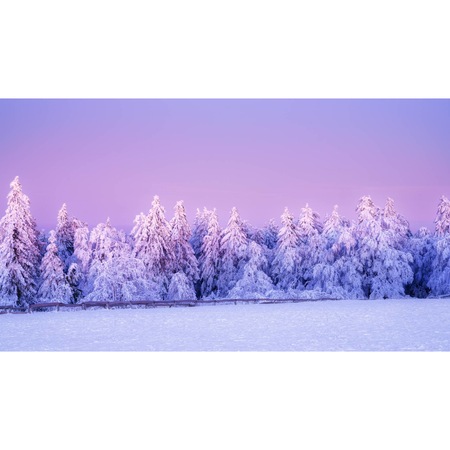 Tapet Autoadeziv PVC, Autocolant, Peisaj de iarna copaci mov, 200 x 300 ...