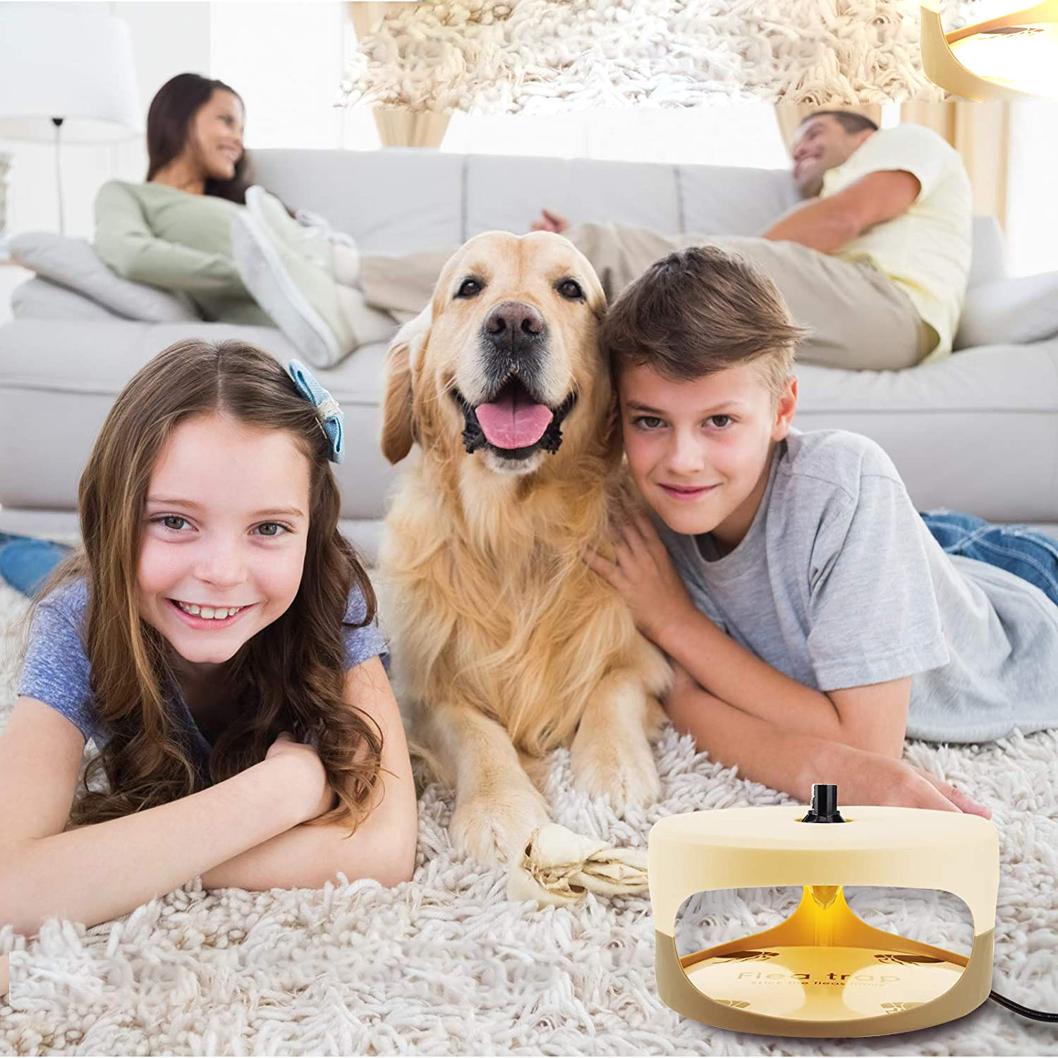 Capcana termica pentru purici pentru casa, Maro - eMAG.ro