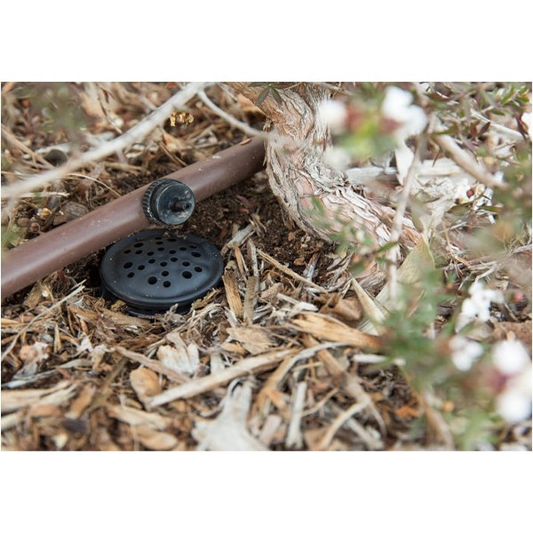 Dispozitiv udare la radacina - eMAG.ro