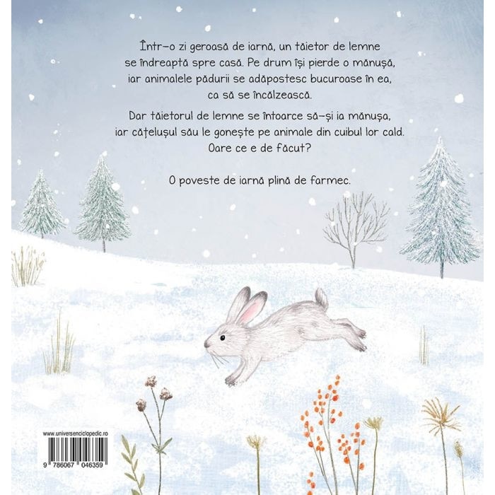 Manusa pierduta. O poveste de iarna - Sharon Harmer, ed 2019 - eMAG.ro