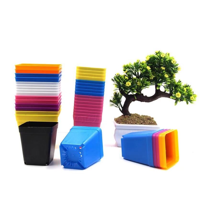 Set 10 Ghivece de flori, Sunmostar, Plastic, 7 x 8cm, Multicolor - eMAG.ro