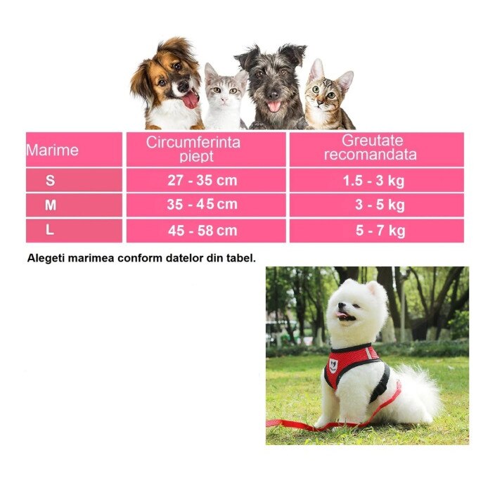 Set ham/lesa pentru catei/pisici, Ajsutabil, Negru, M - eMAG.ro