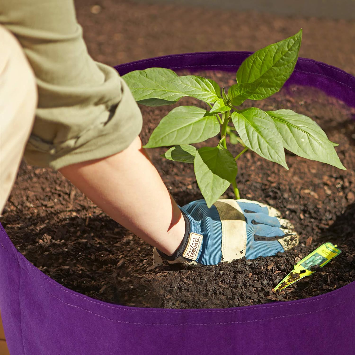 Pat de plantare ridicat, Sunmostar, Textil, Violet - eMAG.ro