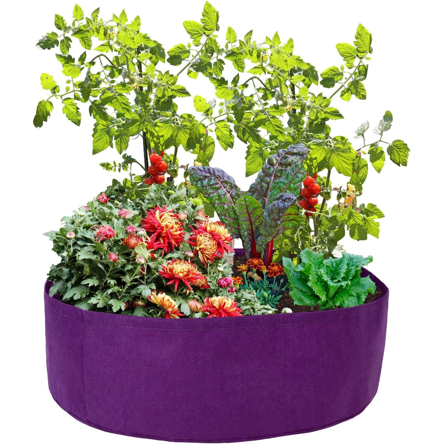 Pat de plantare ridicat, Sunmostar, Textil, Violet - eMAG.ro