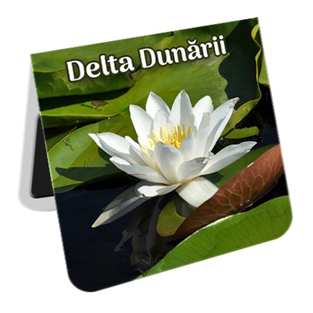 Semn de carte magnetic 4x4 cm, Delta Dunarii, Romania V4 - eMAG.ro