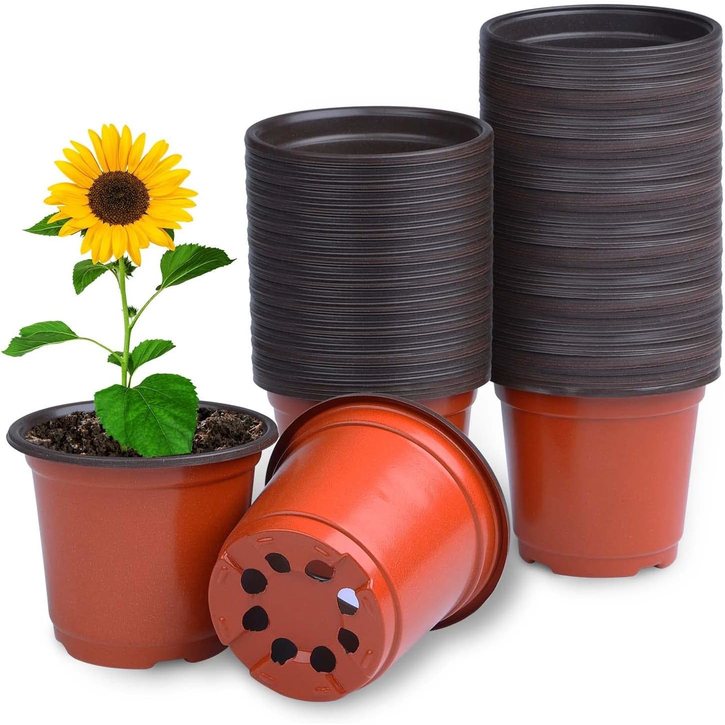 Ghiveci plante, Sunmostar, Plastic, Negru/Rosu, 4 inch - eMAG.ro