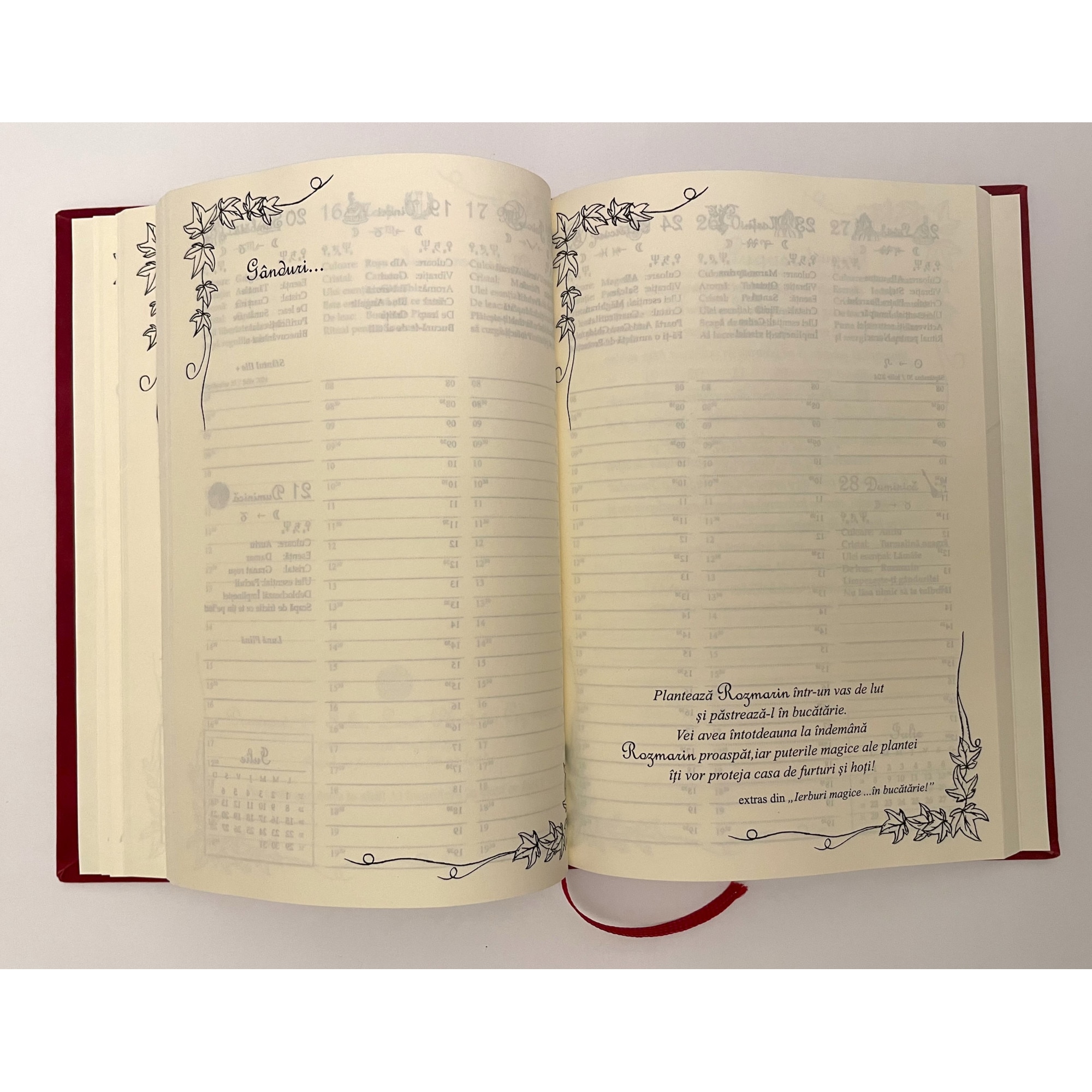 Agenda Magica 2024, Coperta Verde, format A5 - eMAG.ro