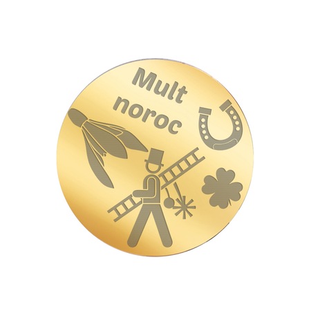 Martisor Brosa Inox Banut Auriu Simboluri Mult Noroc - eMAG.ro