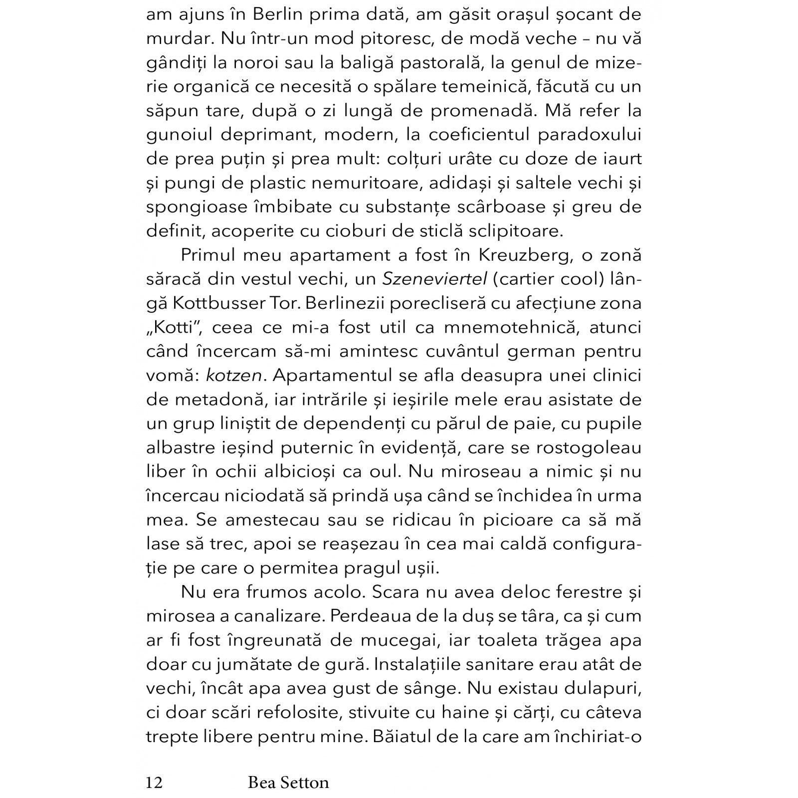 Berlin. Un Dusman In Oras - Bea Setton - eMAG.ro