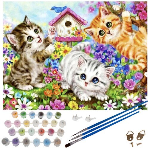Set pictura pe numere, panza canvas pe rama lemn, dimensiune 40x50, 3 ...