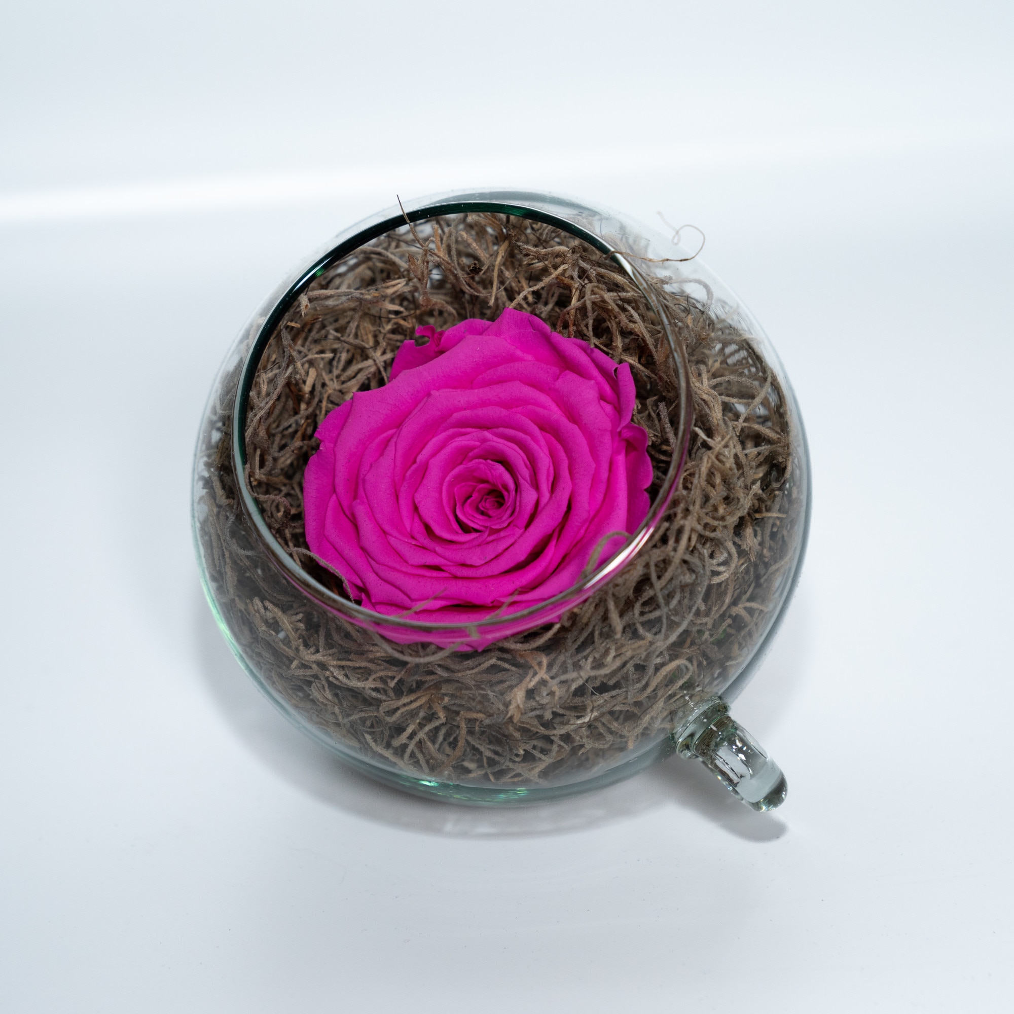 Trandafir criogenat pe pat de Tillandsia in glob de sticla si suport ...