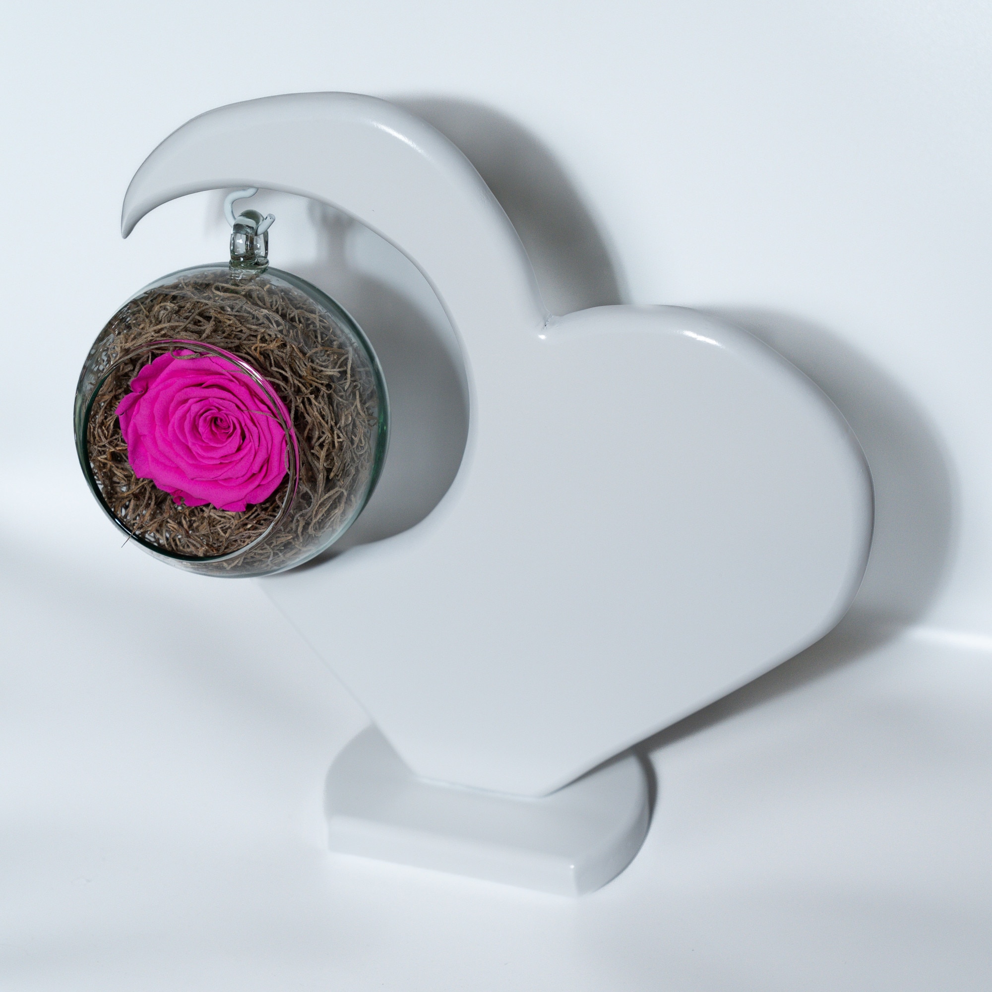 Trandafir criogenat pe pat de Tillandsia in glob de sticla si suport ...