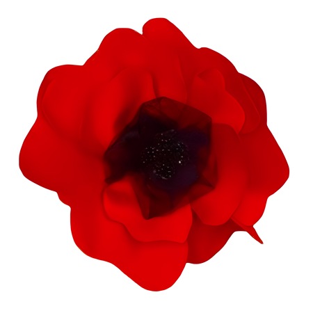 Brosa Tip Mac Rosu, Miez Negru din Tul si Margele Mici Negre Dispuse in ...