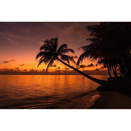 Tapet Autoadeziv PVC, Autocolant, Peisaj plaja cu palmieri la apus, 180 ...
