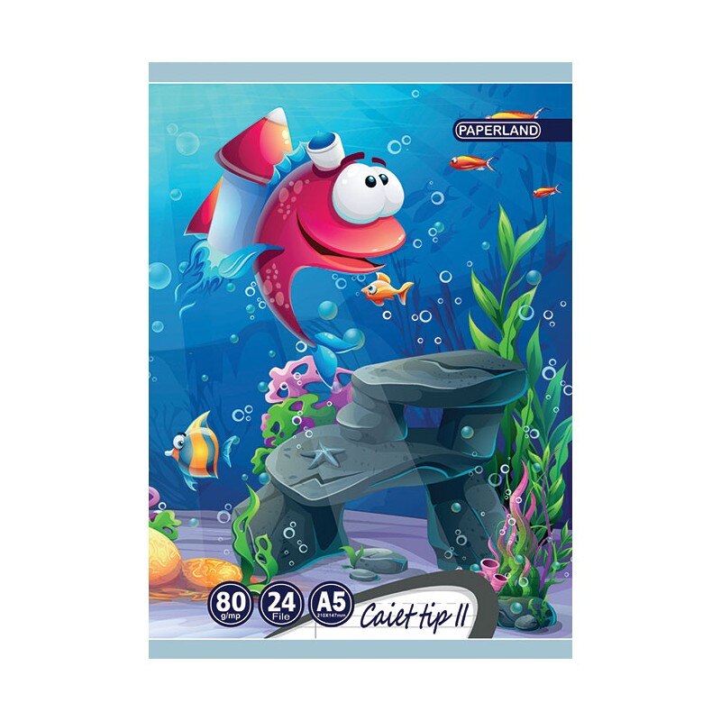 Caiet tip 2, 24 file, Paperland Premium - eMAG.ro