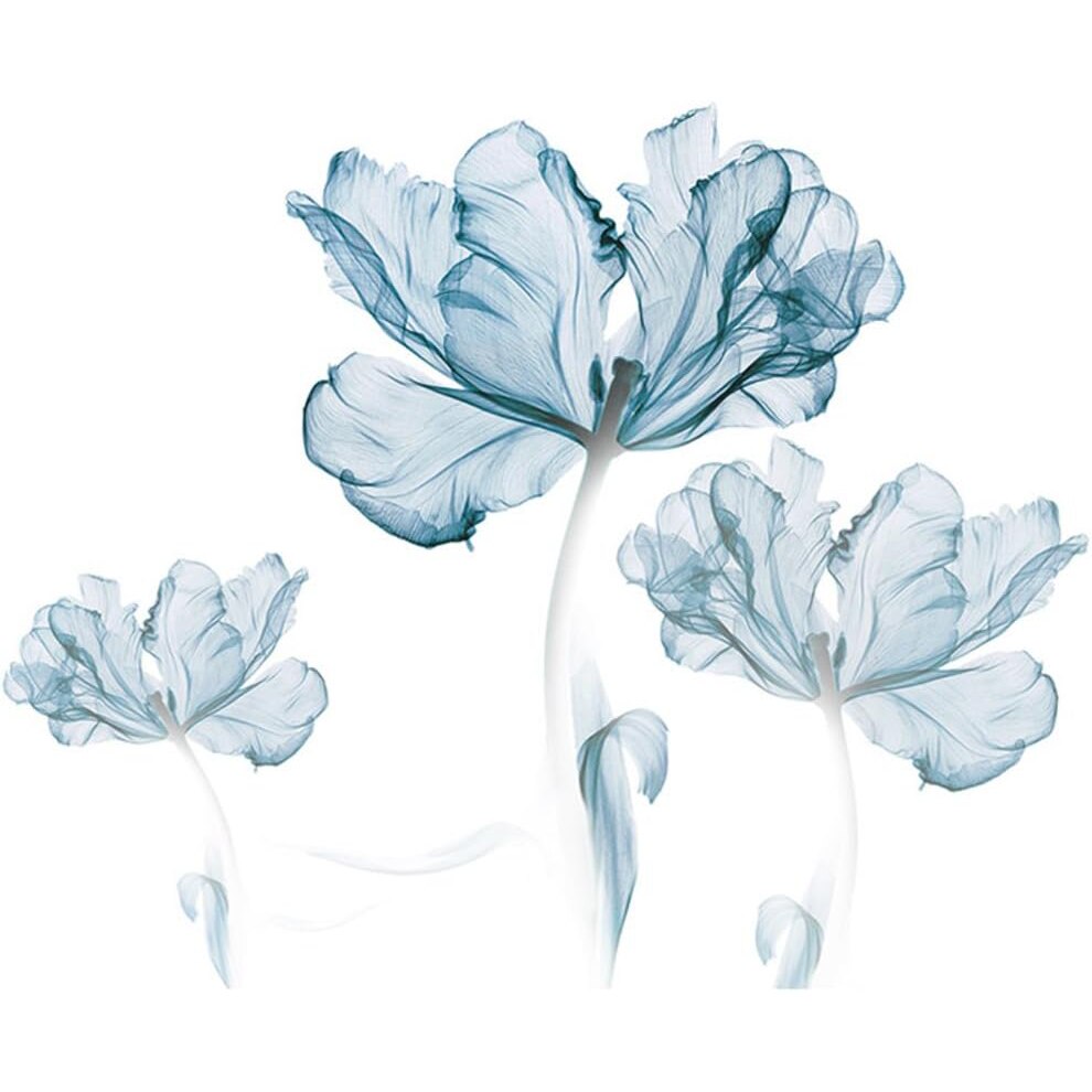Sticker Decorativ Autoadeziv CCmax, Floare de Lotus, 1000x840 mm ...