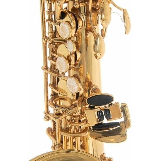 Saxofon Alto Roy Benson AS-202, alama, auriu - eMAG.ro