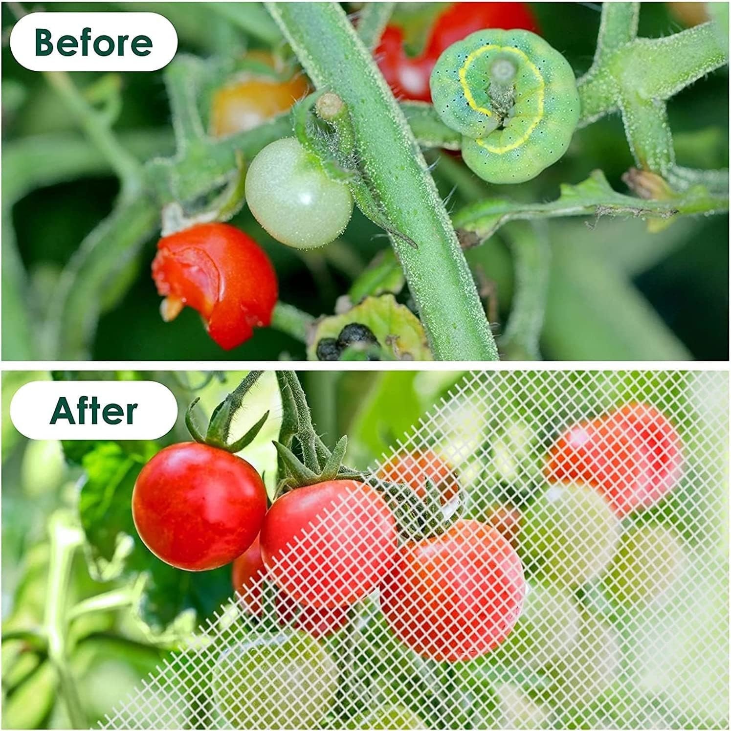 Protectie Anti-Insecte pentru gradina, Iongziming, Polietilena, Alb ...