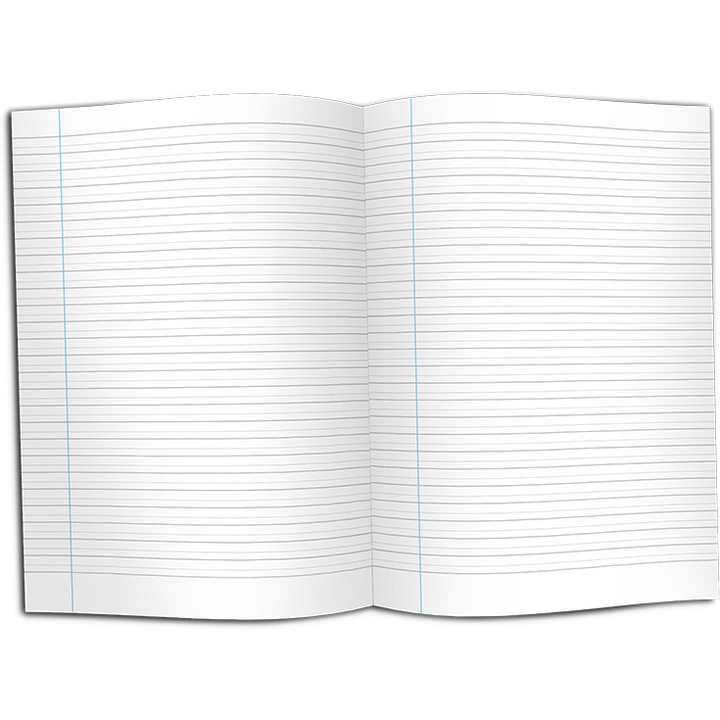 Caiet Dictando Special, NumLit - eMAG.ro