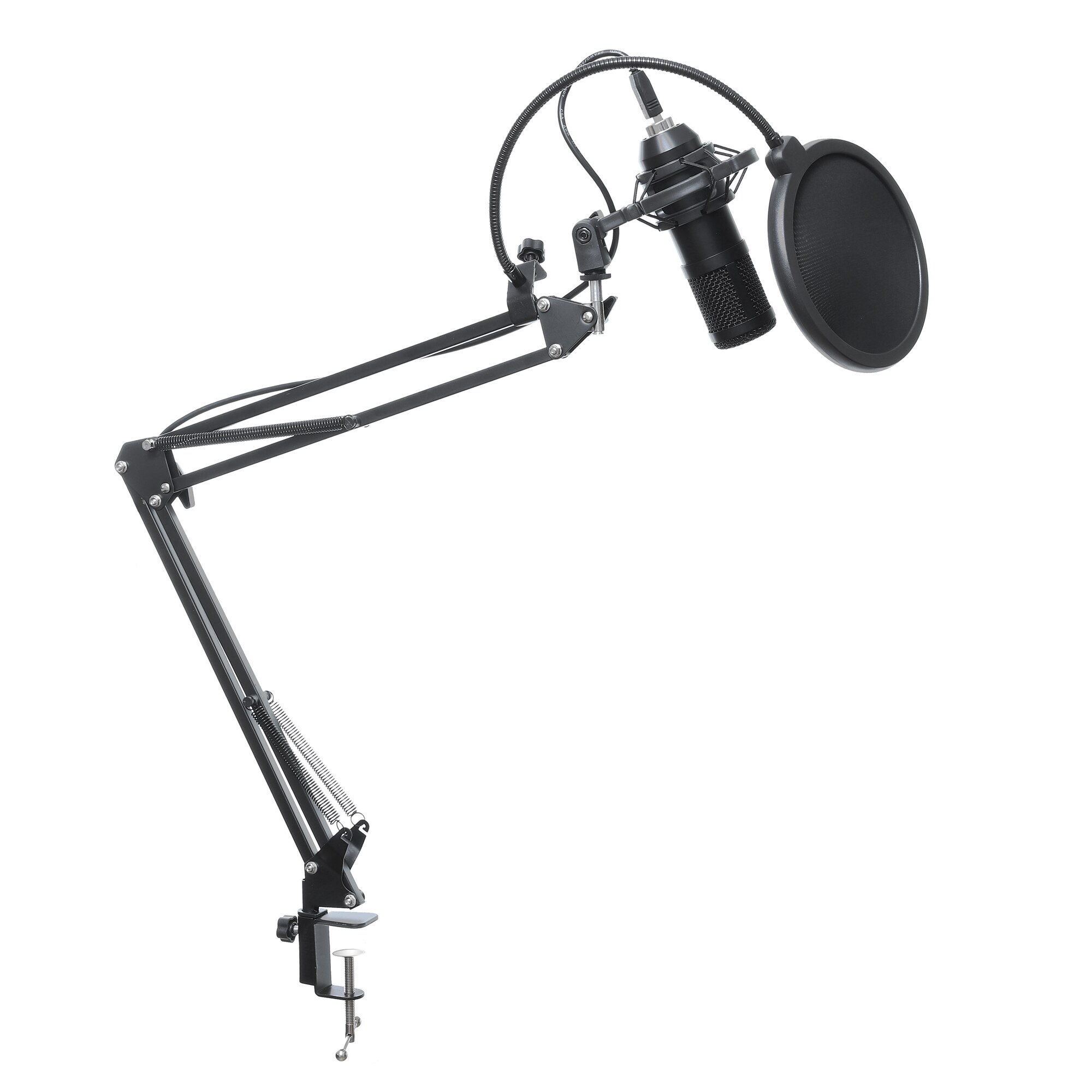 Microfon cu condensator cu brat USB cu diafragma - AC-03 - eMAG.ro