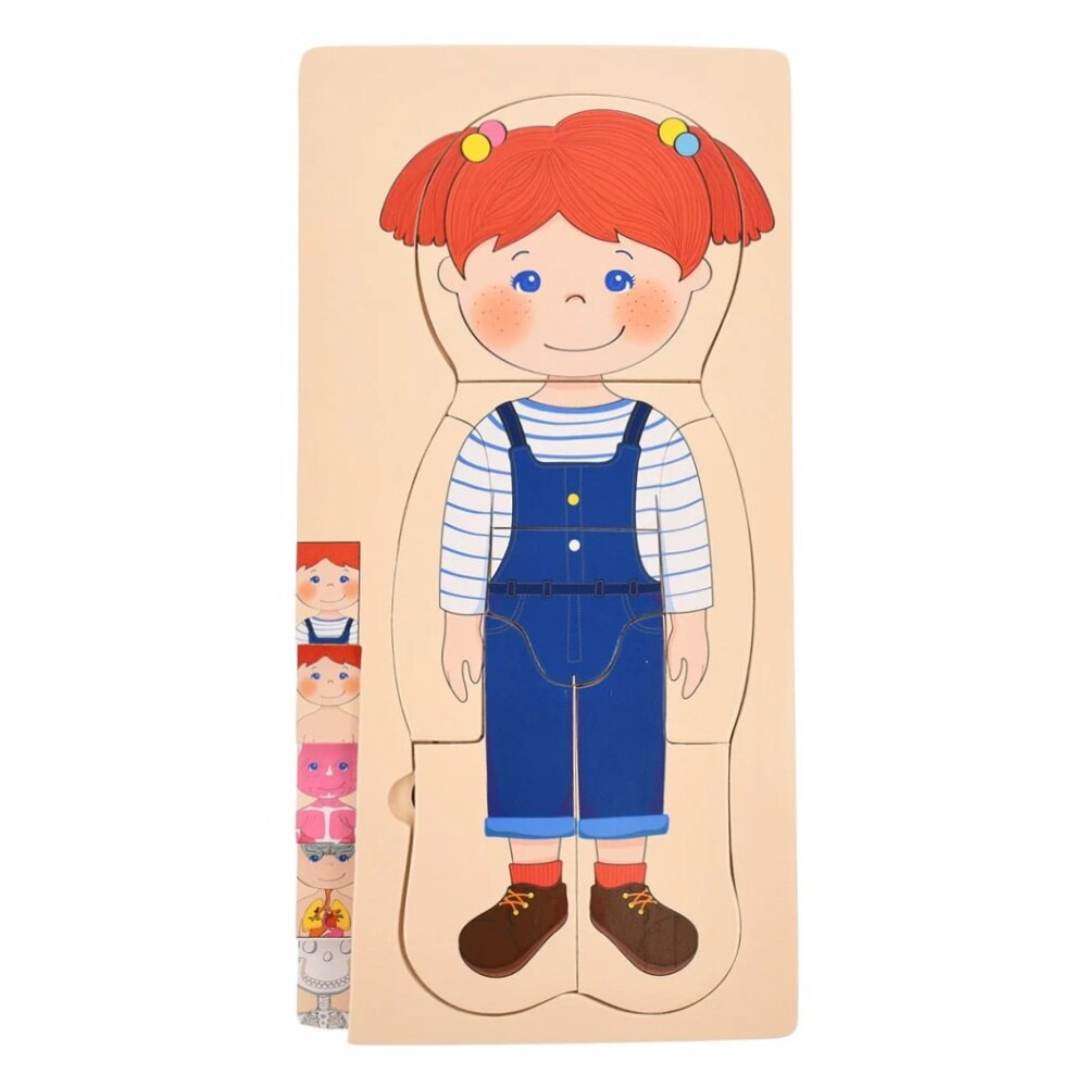 Puzzle Educativ In Straturi Anatomia Corpului Umana (Fata) (5 piese ...