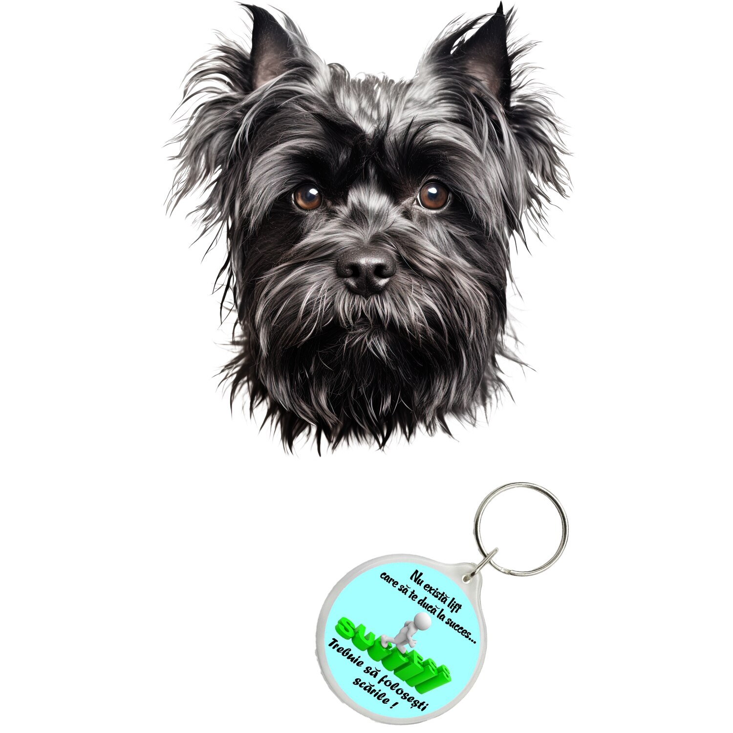 Set sticker decorativ perete, auto si geam, Caine -Affenpinscher model ...
