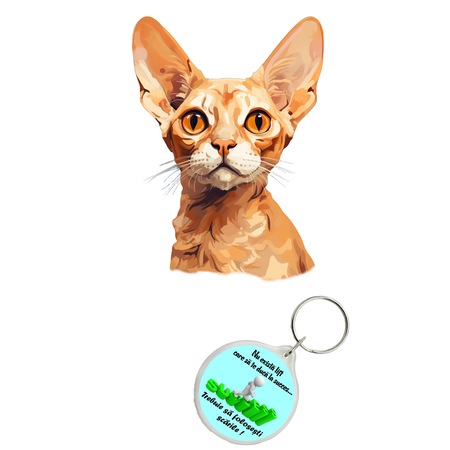 Set sticker decorativ perete, auto si geam, Pisica - Devon Rex model 15 ...
