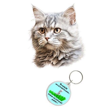 Set sticker decorativ perete, auto si geam, Pisica - Selkirk Rex model ...