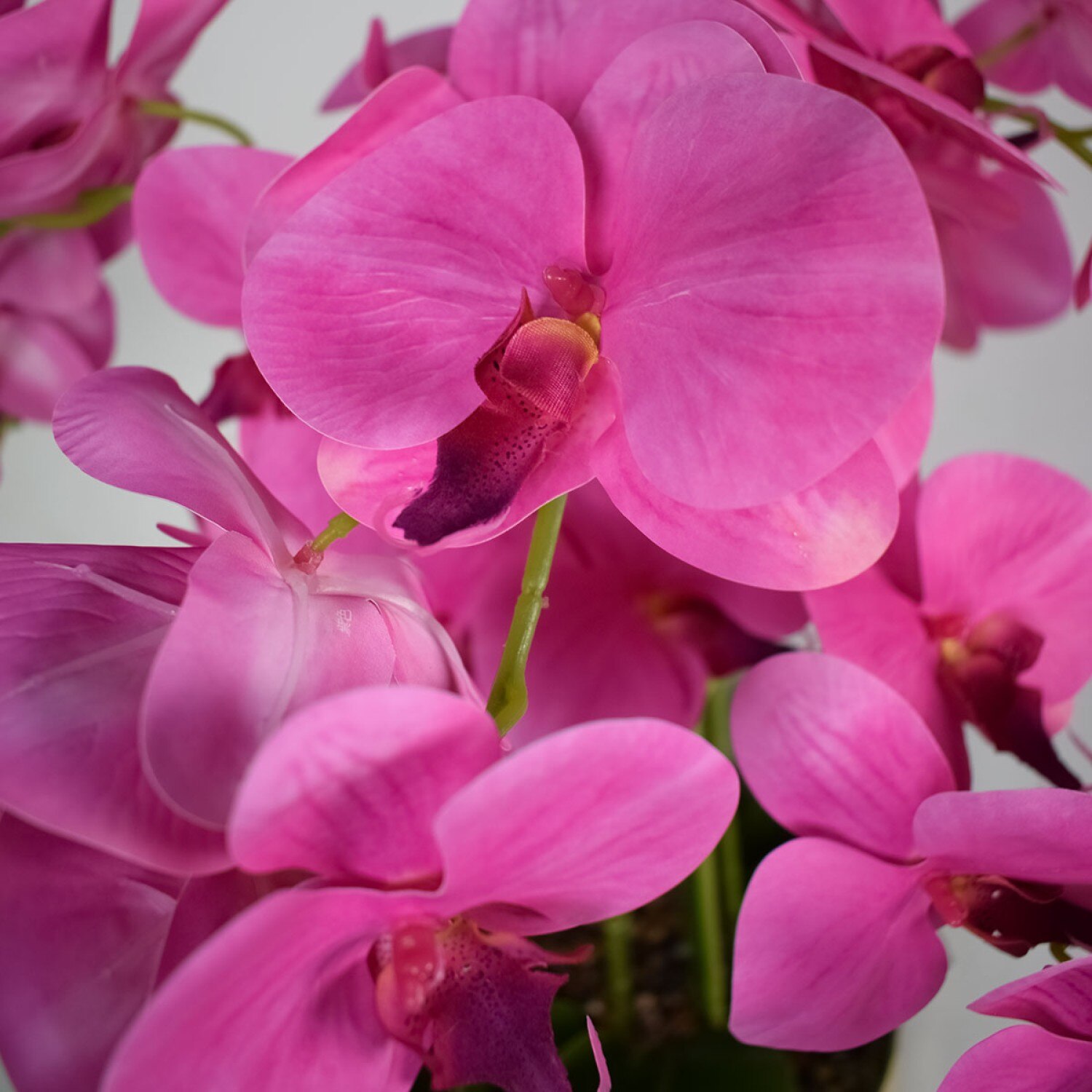 Orhidee cu aspect natural in ghiveci ceramic, 60 cm, Naimeed D5568, Roz ...